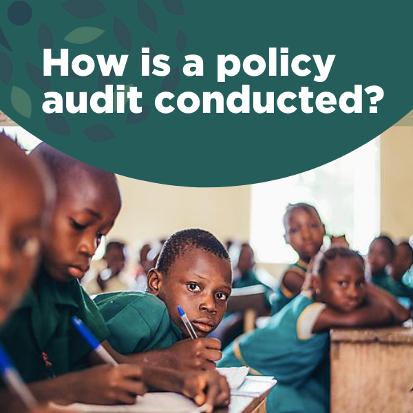 CSTL PULSE - Home - A Better Africa